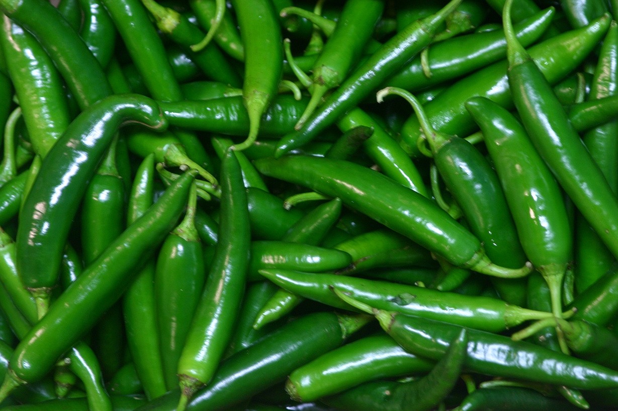 Green Chillies Big (பச்சை மிளகாய் பெரியது) 500g - Vegetables & Fruits ...